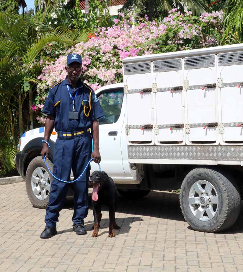 K9 Security Unit Services in Kenya | Solvit Security
